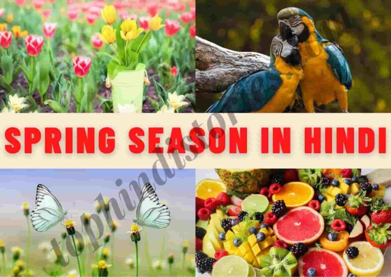 Top 3 Essay about Spring Season in Hindi l वसंत ऋतु Nibandh